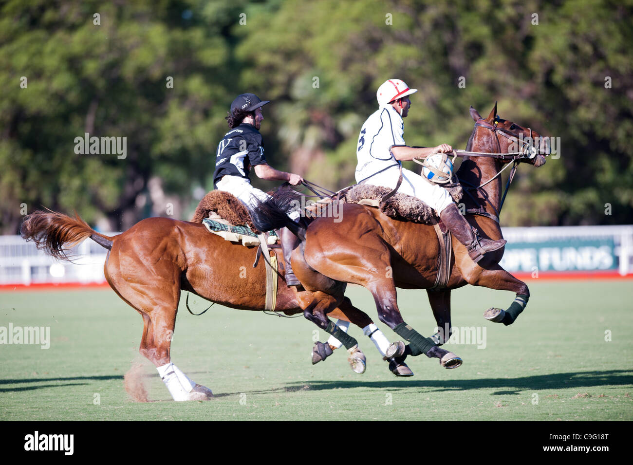 Grand Final of 70th Argentina Pato Open. Pato, also known as Horseball ...