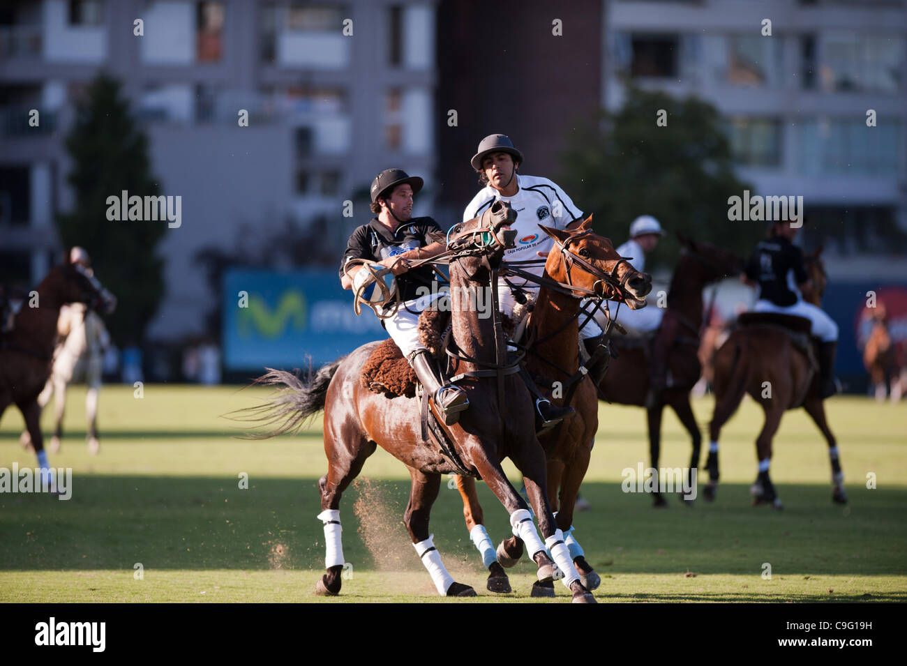 Grand Final of 70th Argentina Pato Open. Pato, also known as Horseball ...