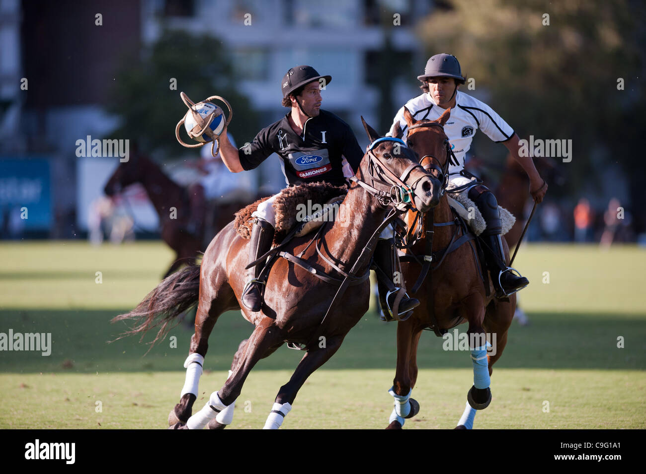 Grand Final of 70th Argentina Pato Open. Pato, also known as Horseball ...