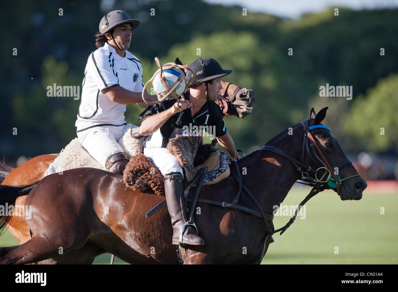Grand Final of 70th Argentina Pato Open. Pato, also known as Horseball ...
