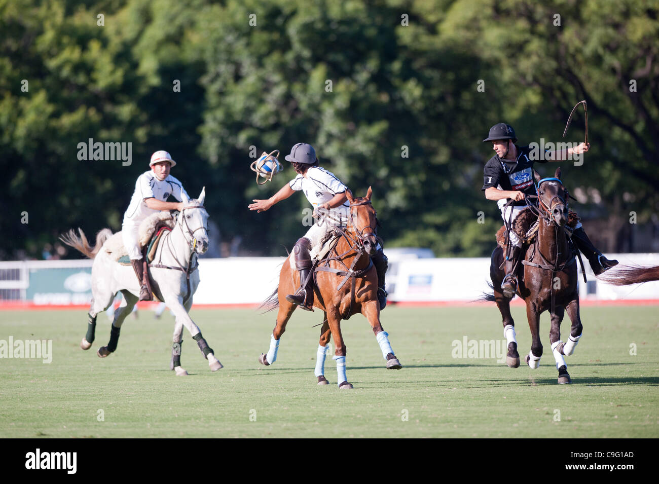 Pato argentina horse hi-res stock photography and images - Alamy