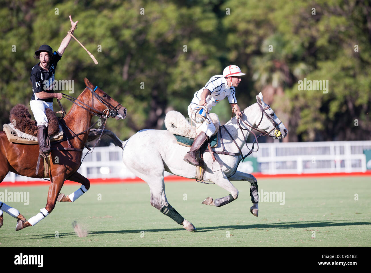 Grand Final of 70th Argentina Pato Open. Pato, also known as Horseball ...