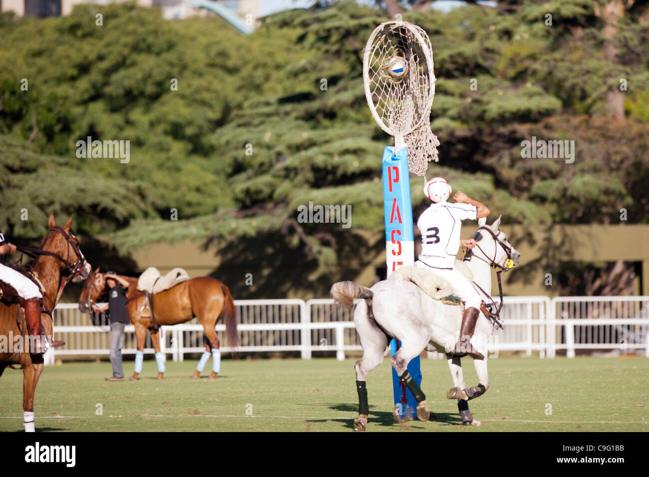 Grand Final of 70th Argentina Pato Open. Pato, also known as Horseball ...