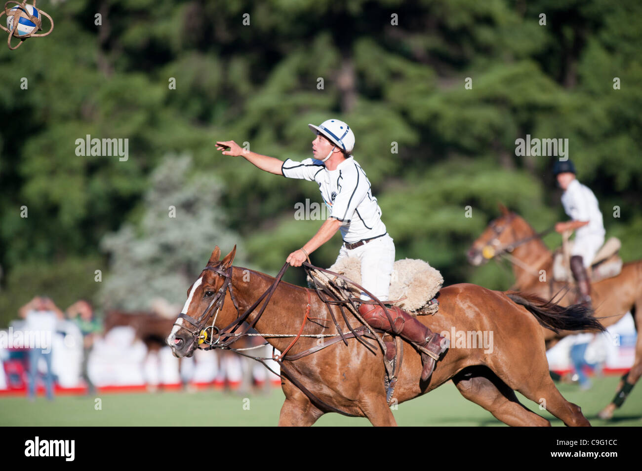 Pato Argentina Horse High Resolution Stock Photography and Images - Alamy