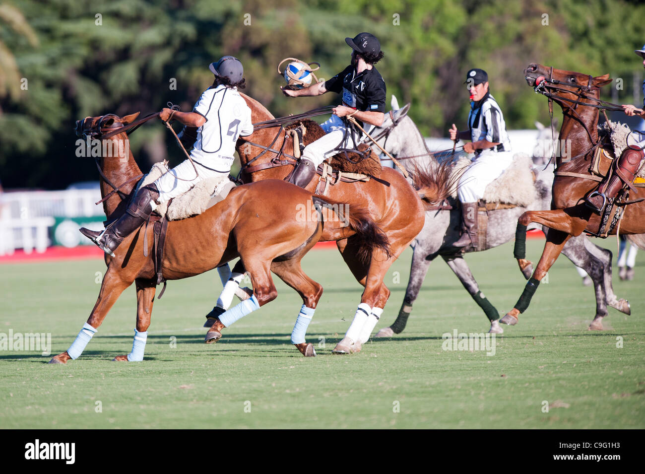 Grand Final of 70th Argentina Pato Open. Pato, also known as Horseball ...