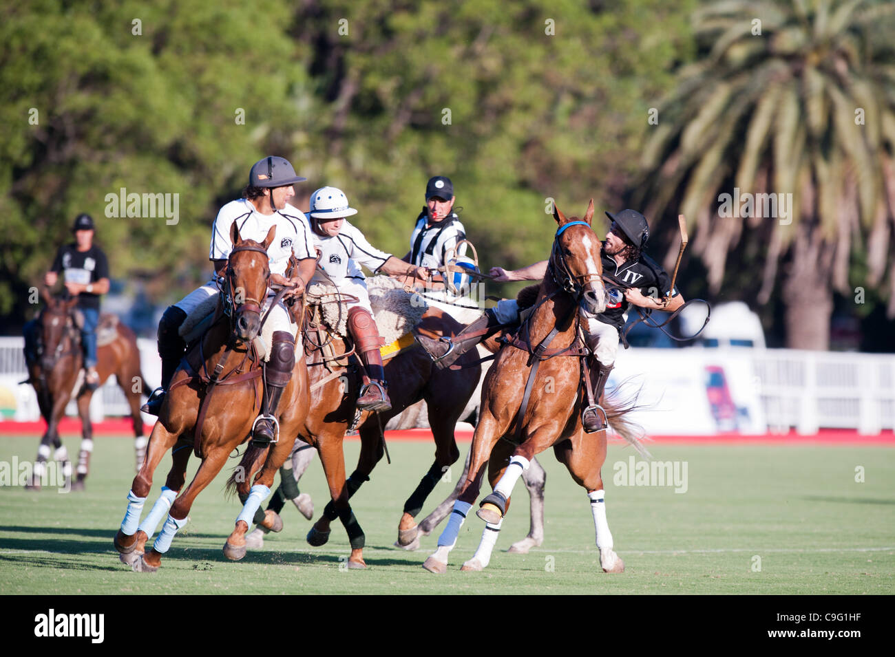 Grand Final of 70th Argentina Pato Open. Pato, also known as Horseball ...