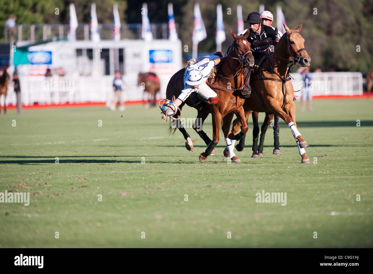 Grand Final of 70th Argentina Pato Open. Pato, also known as Horseball ...