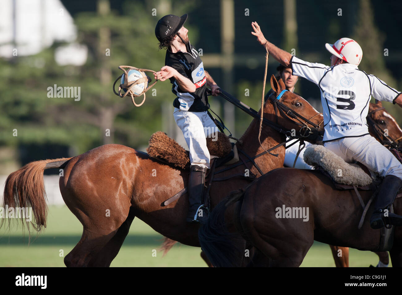 Grand Final of 70th Argentina Pato Open. Pato, also known as Horseball ...