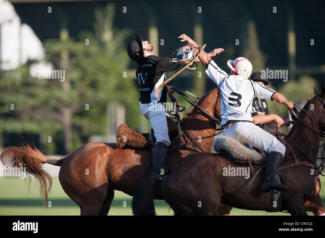 Grand Final of 70th Argentina Pato Open. Pato, also known as Horseball ...