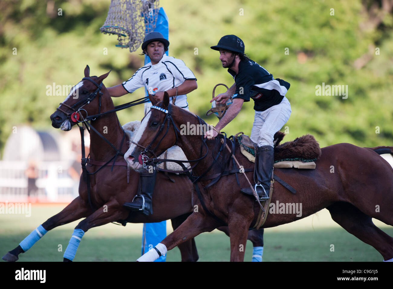 Grand Final of 70th Argentina Pato Open. Pato, also known as Horseball ...