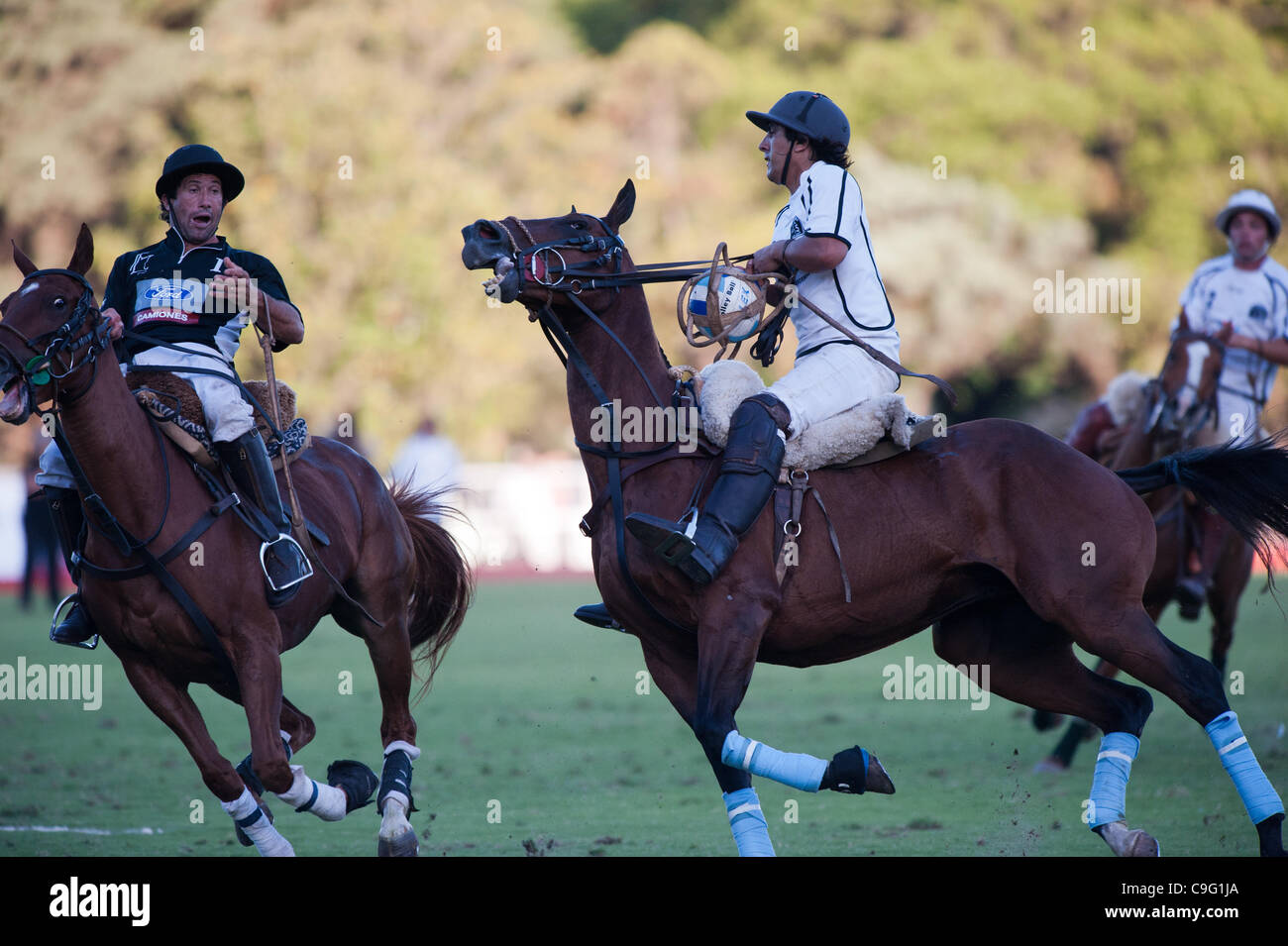 Grand Final of 70th Argentina Pato Open. Pato, also known as Horseball ...