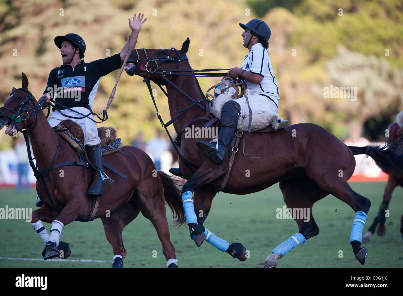Grand Final of 70th Argentina Pato Open. Pato, also known as Horseball ...