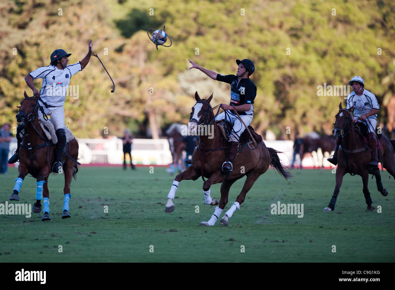 Grand Final of 70th Argentina Pato Open. Pato, also known as Horseball ...