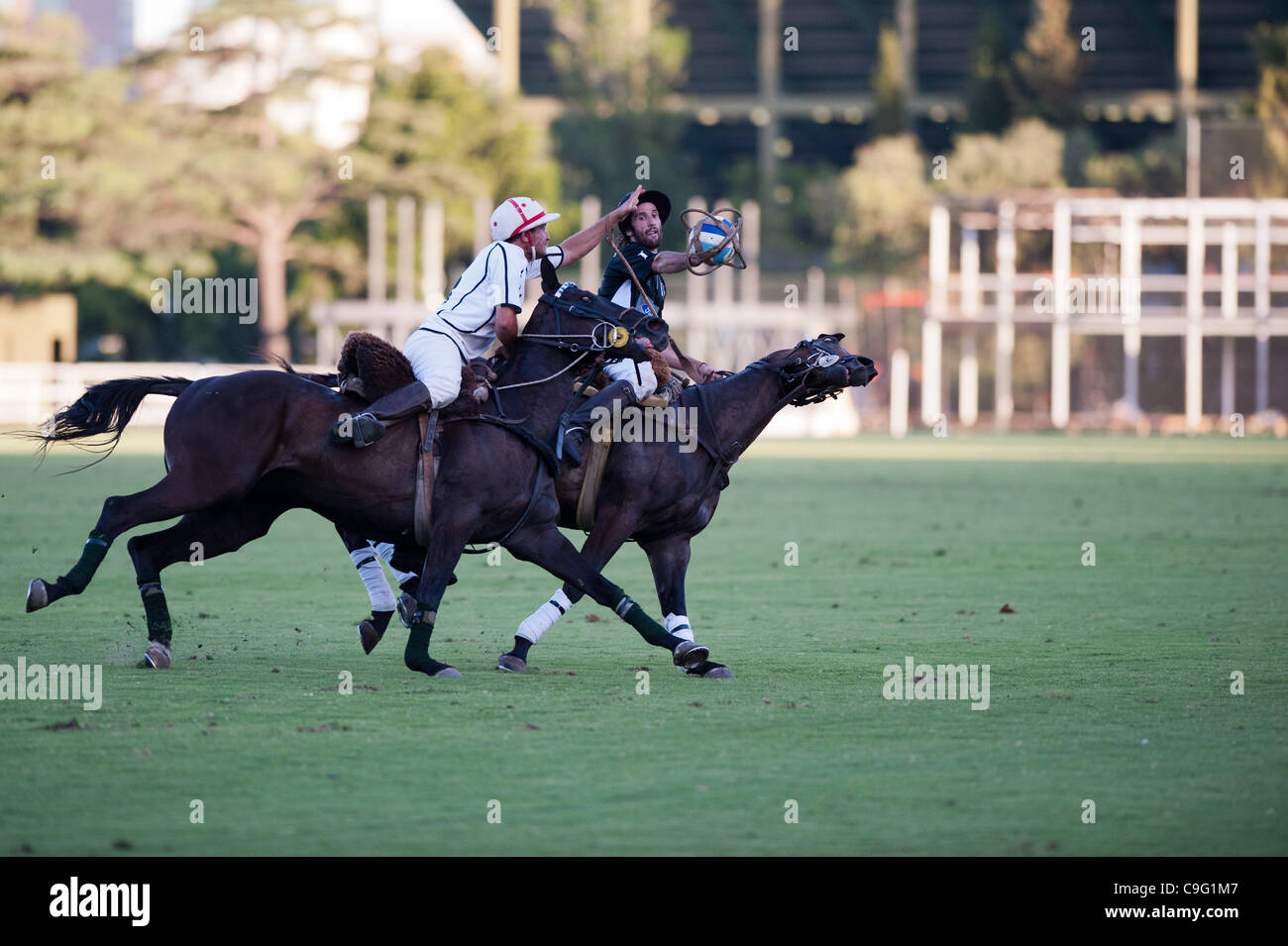Grand Final of 70th Argentina Pato Open. Pato, also known as Horseball ...