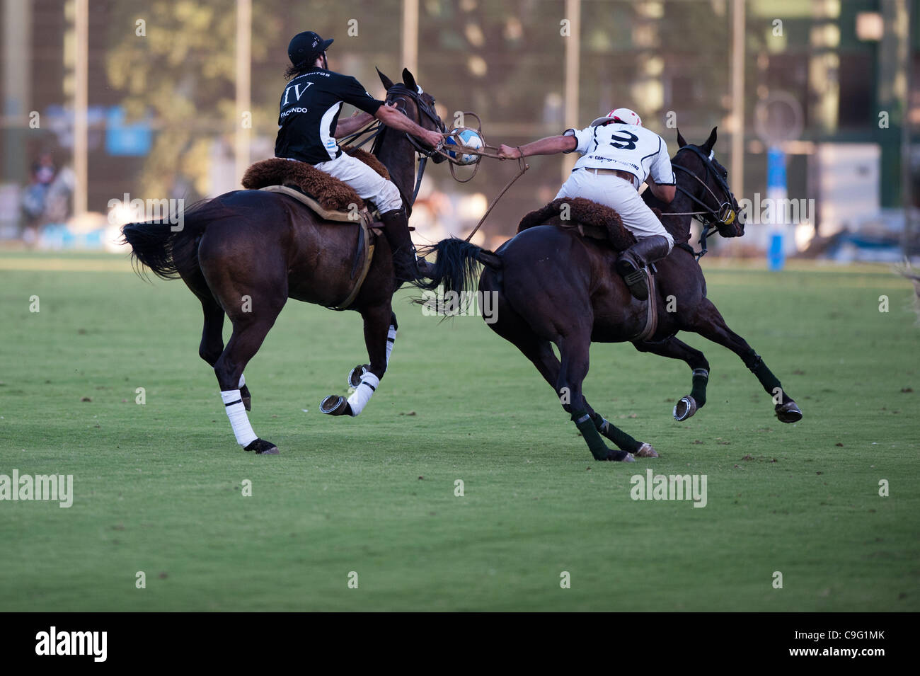 Mochitos hi-res stock photography and images - Alamy