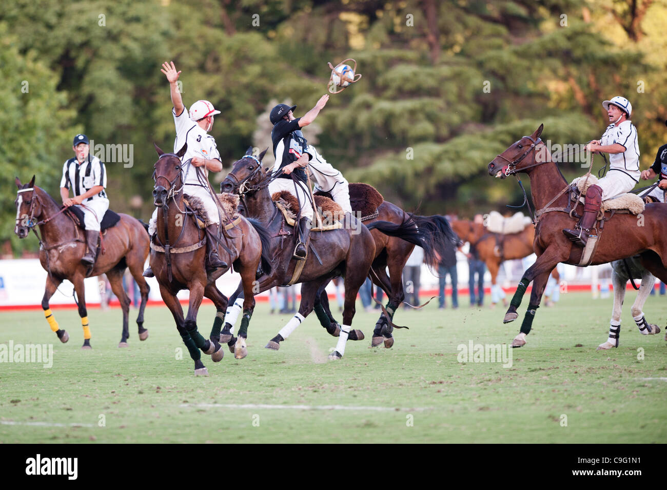 Grand Final of 70th Argentina Pato Open. Pato, also known as Horseball ...