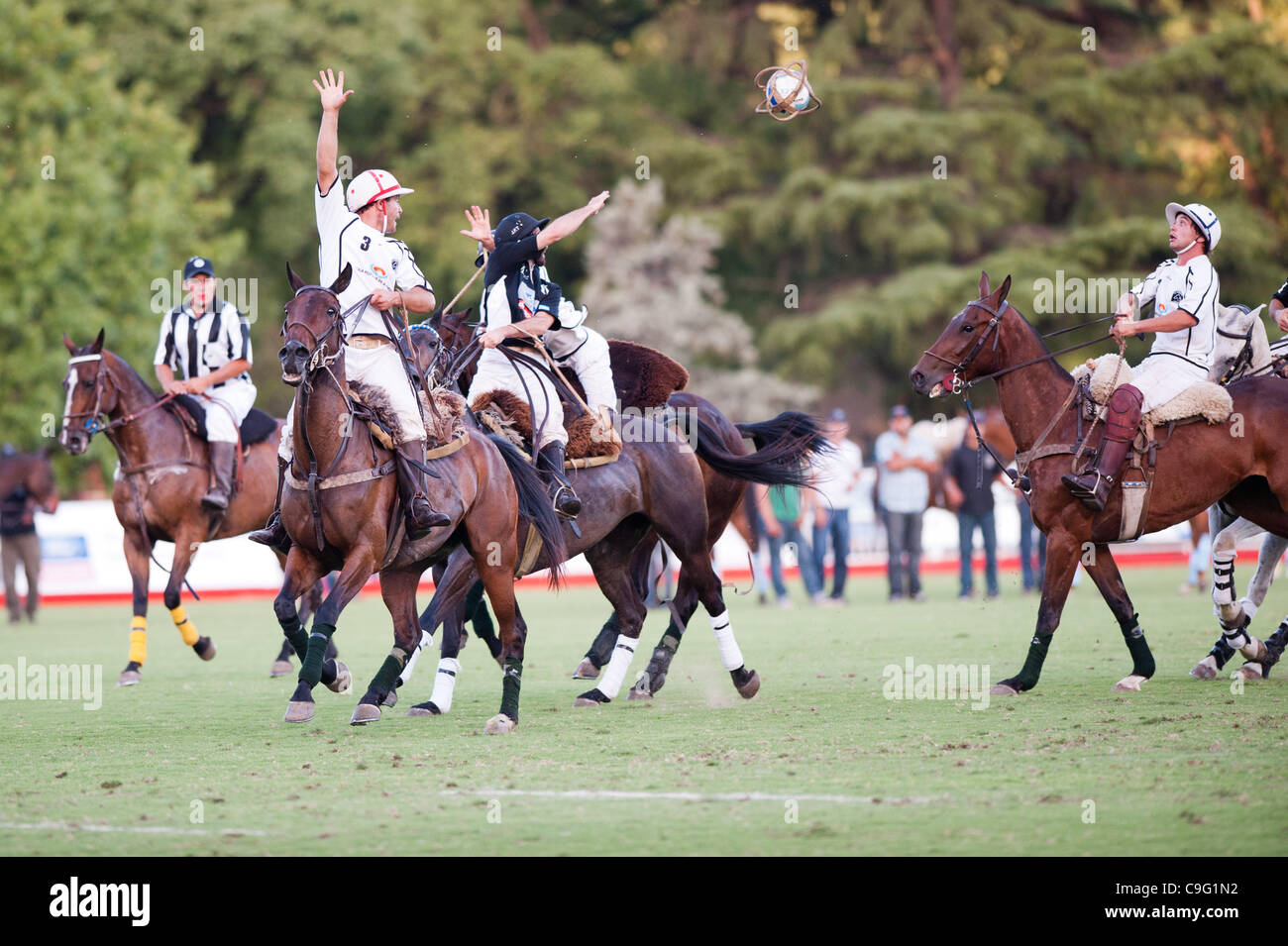 Grand Final of 70th Argentina Pato Open. Pato, also known as Horseball ...