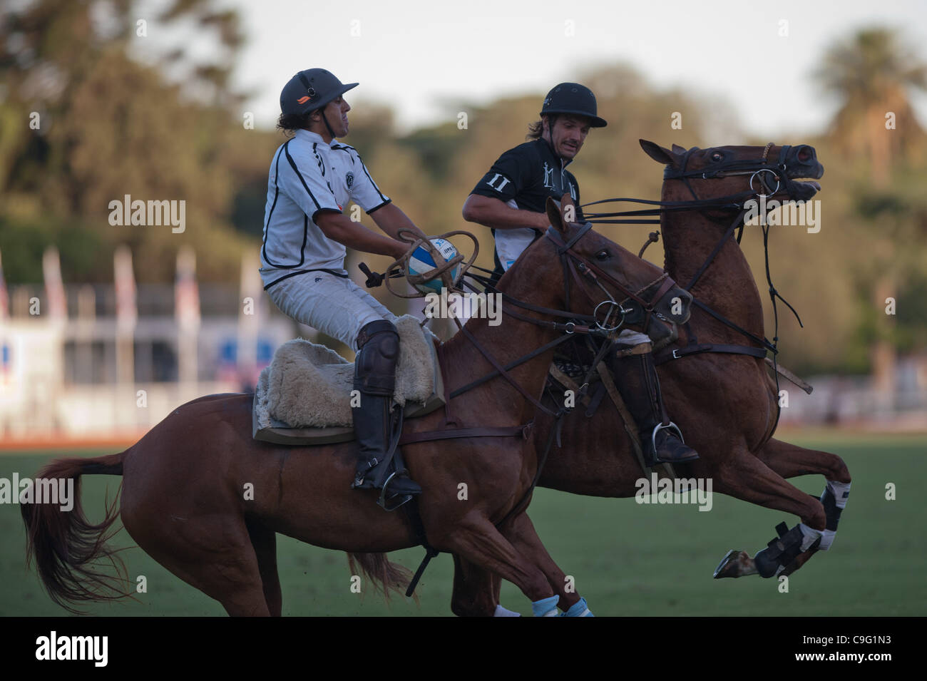 Grand Final of 70th Argentina Pato Open. Pato, also known as Horseball ...