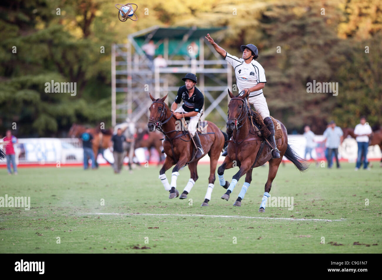 Grand Final of 70th Argentina Pato Open. Pato, also known as Horseball ...