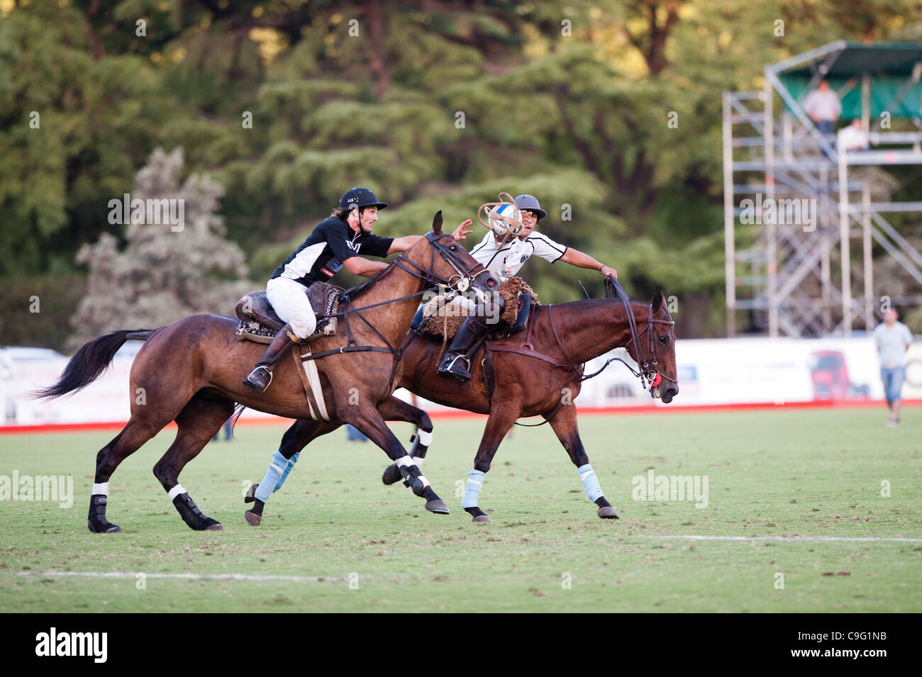 Grand Final of 70th Argentina Pato Open. Pato, also known as Horseball ...