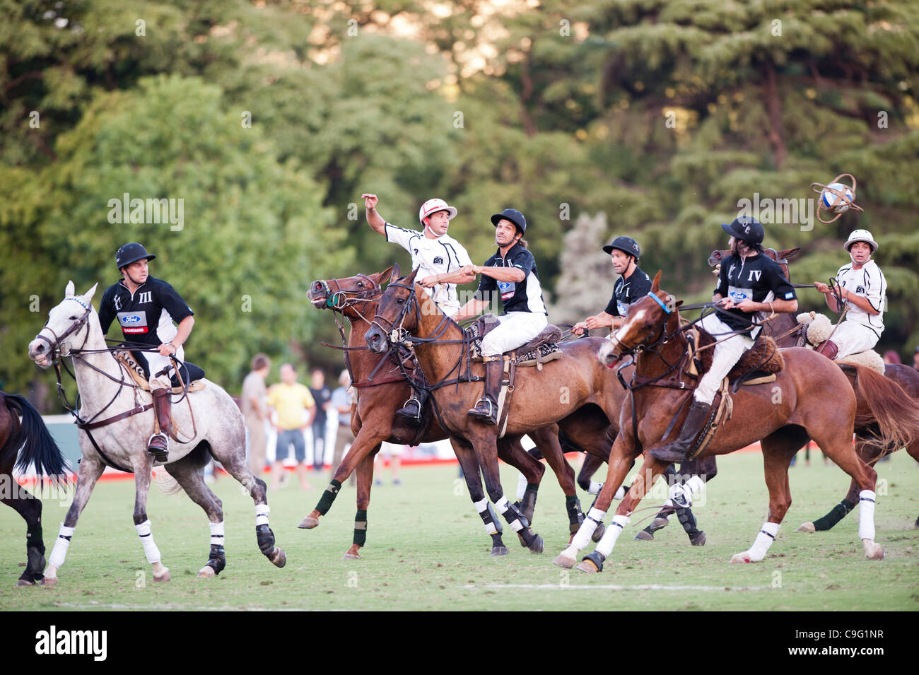Grand Final of 70th Argentina Pato Open. Pato, also known as Horseball ...