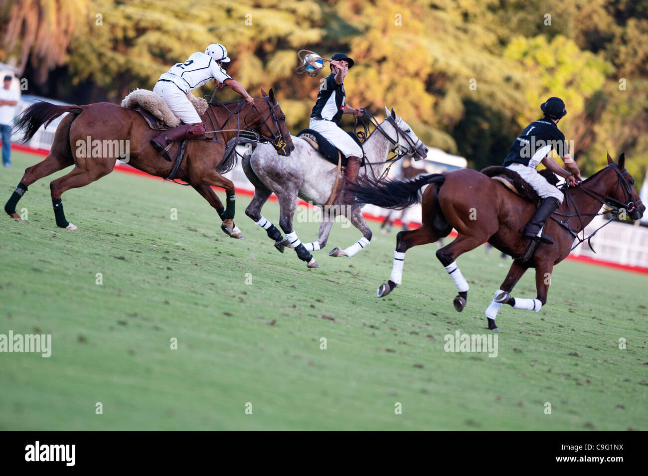 Grand Final of 70th Argentina Pato Open. Pato, also known as Horseball ...