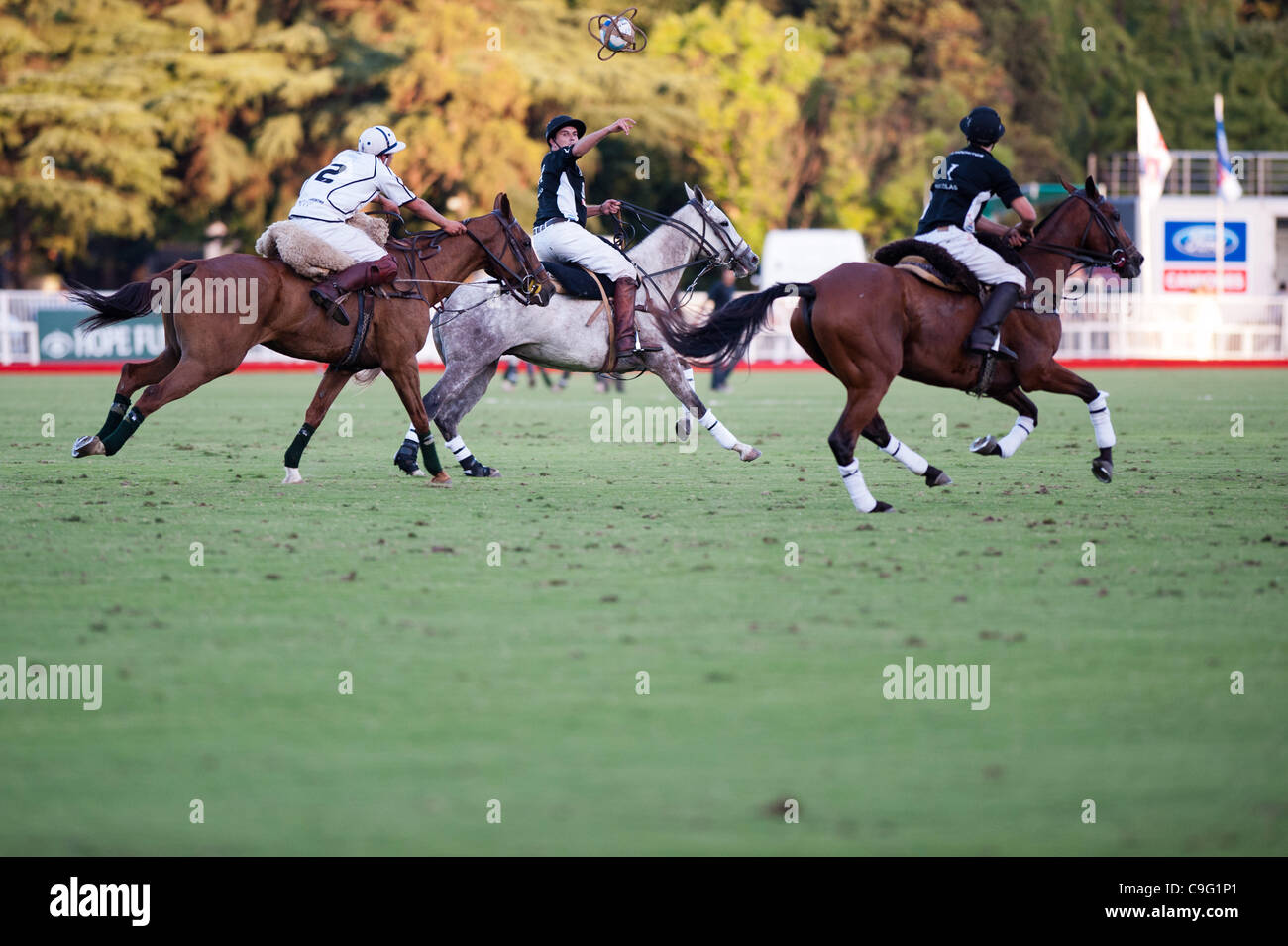 Grand Final of 70th Argentina Pato Open. Pato, also known as Horseball ...