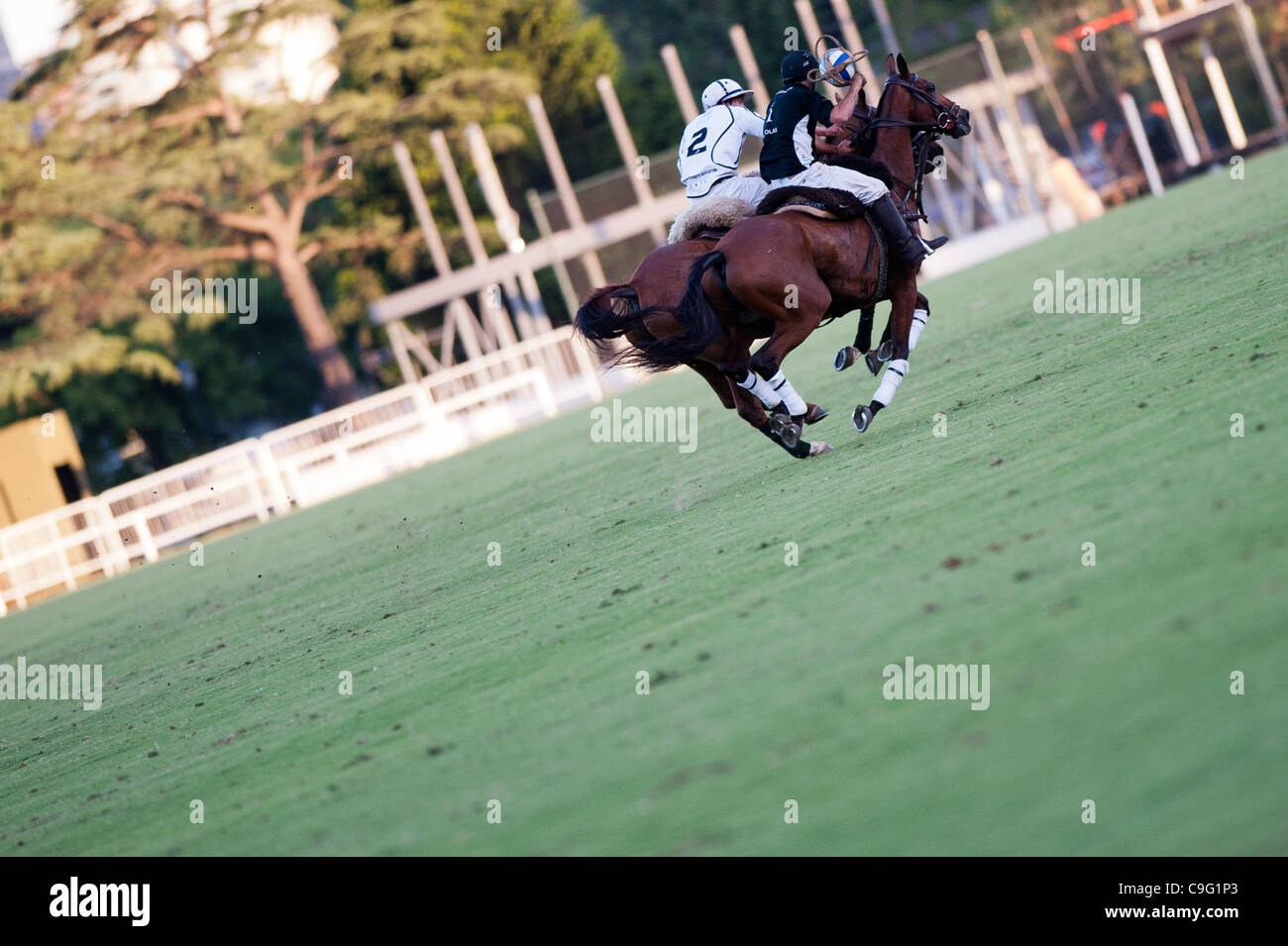Grand Final of 70th Argentina Pato Open. Pato, also known as Horseball ...