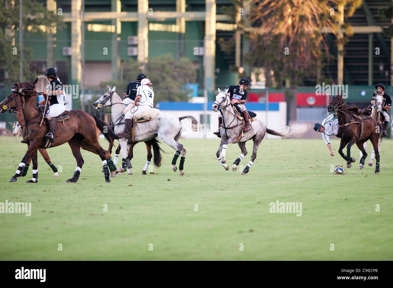 Grand Final of 70th Argentina Pato Open. Pato, also known as Horseball ...
