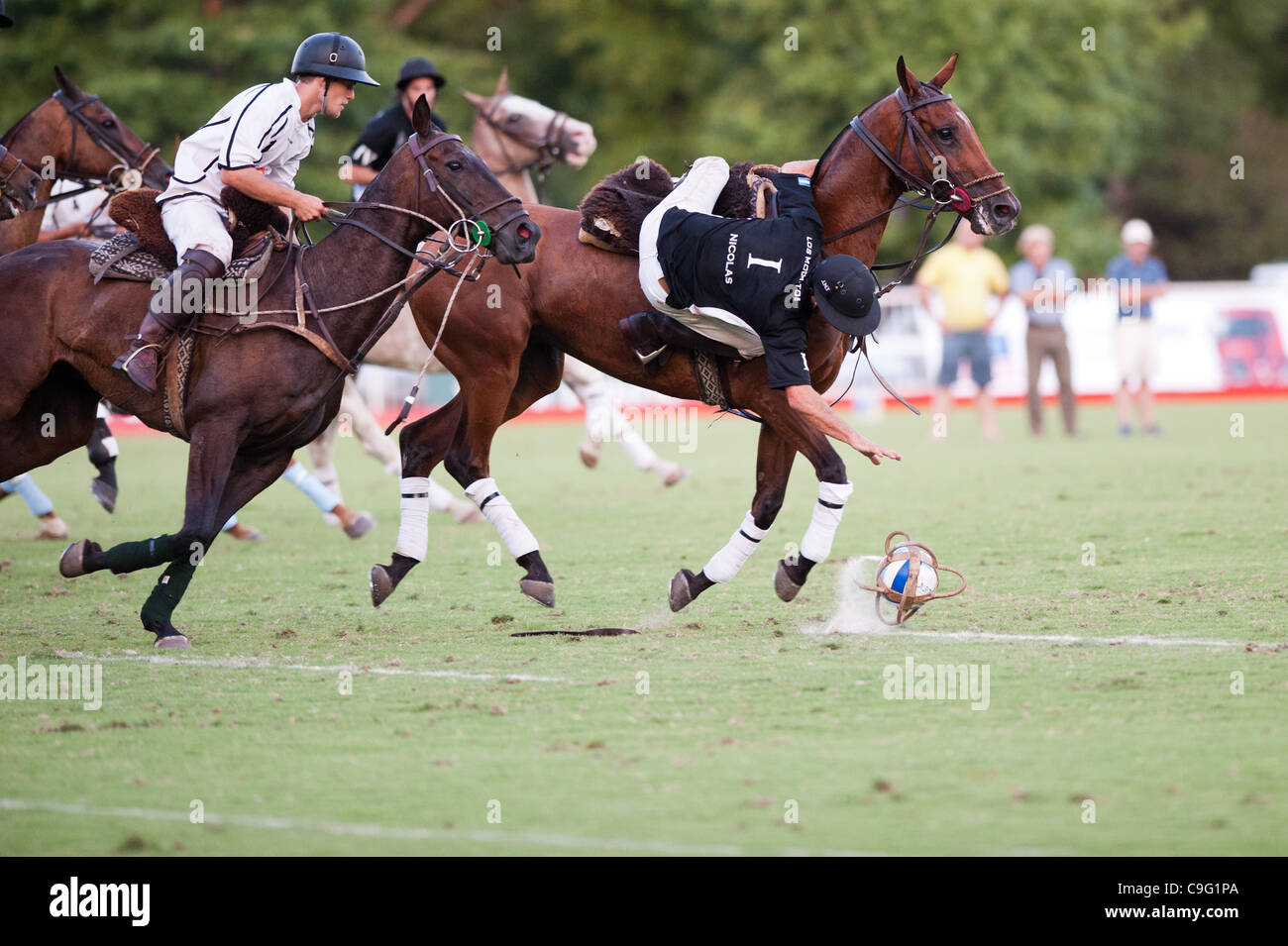 Grand Final of 70th Argentina Pato Open. Pato, also known as Horseball ...
