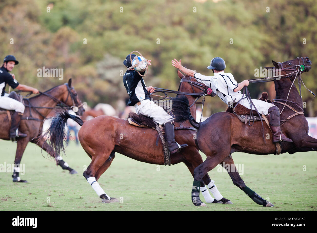 Grand Final of 70th Argentina Pato Open. Pato, also known as Horseball ...