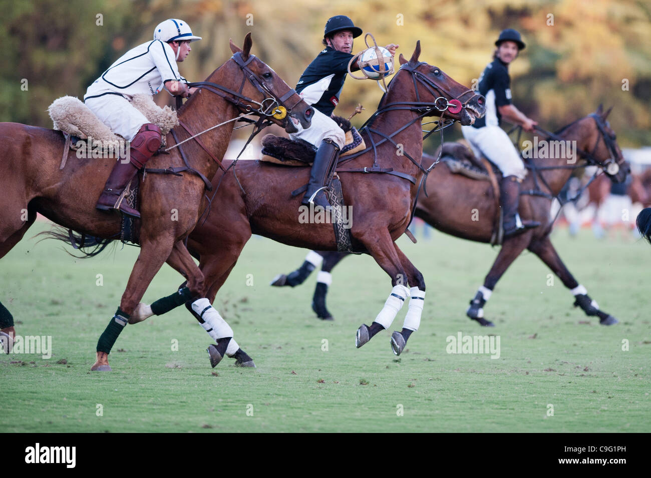 Grand Final of 70th Argentina Pato Open. Pato, also known as Horseball ...