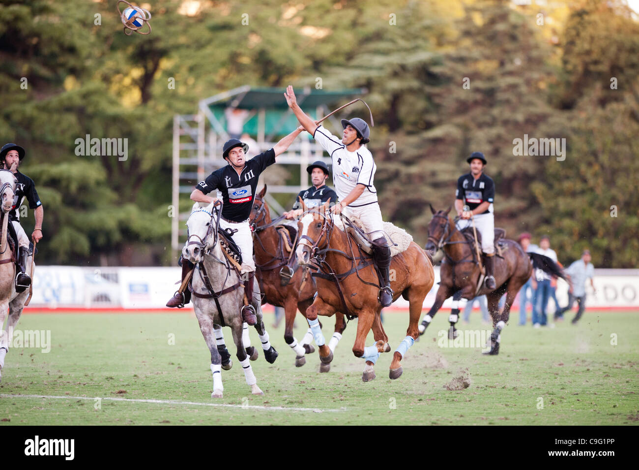 Grand Final of 70th Argentina Pato Open. Pato, also known as Horseball ...