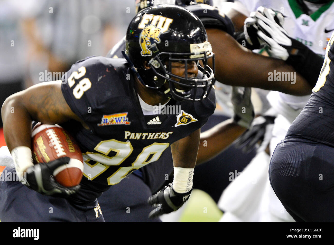 Fiu panthers hi-res stock photography and images - Alamy