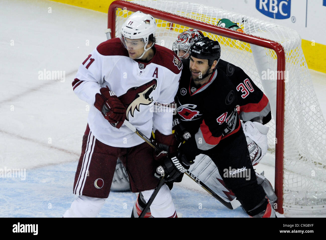Coyotes in north carolina hi-res stock photography and images - Alamy