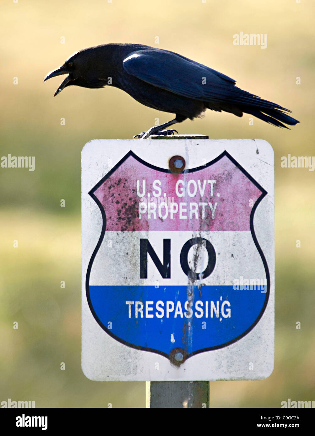 Dean crow hi-res stock photography and images - Alamy