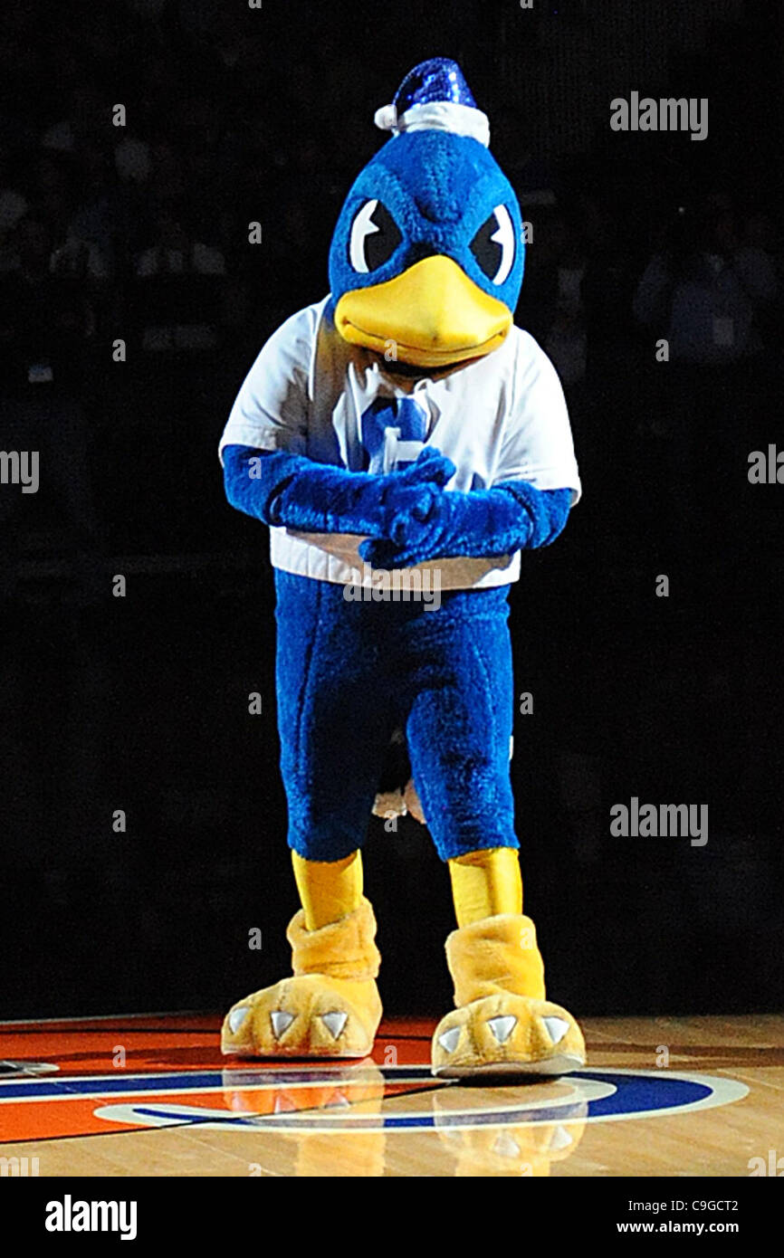 Creighton bluejay hi-res stock photography and images - Alamy