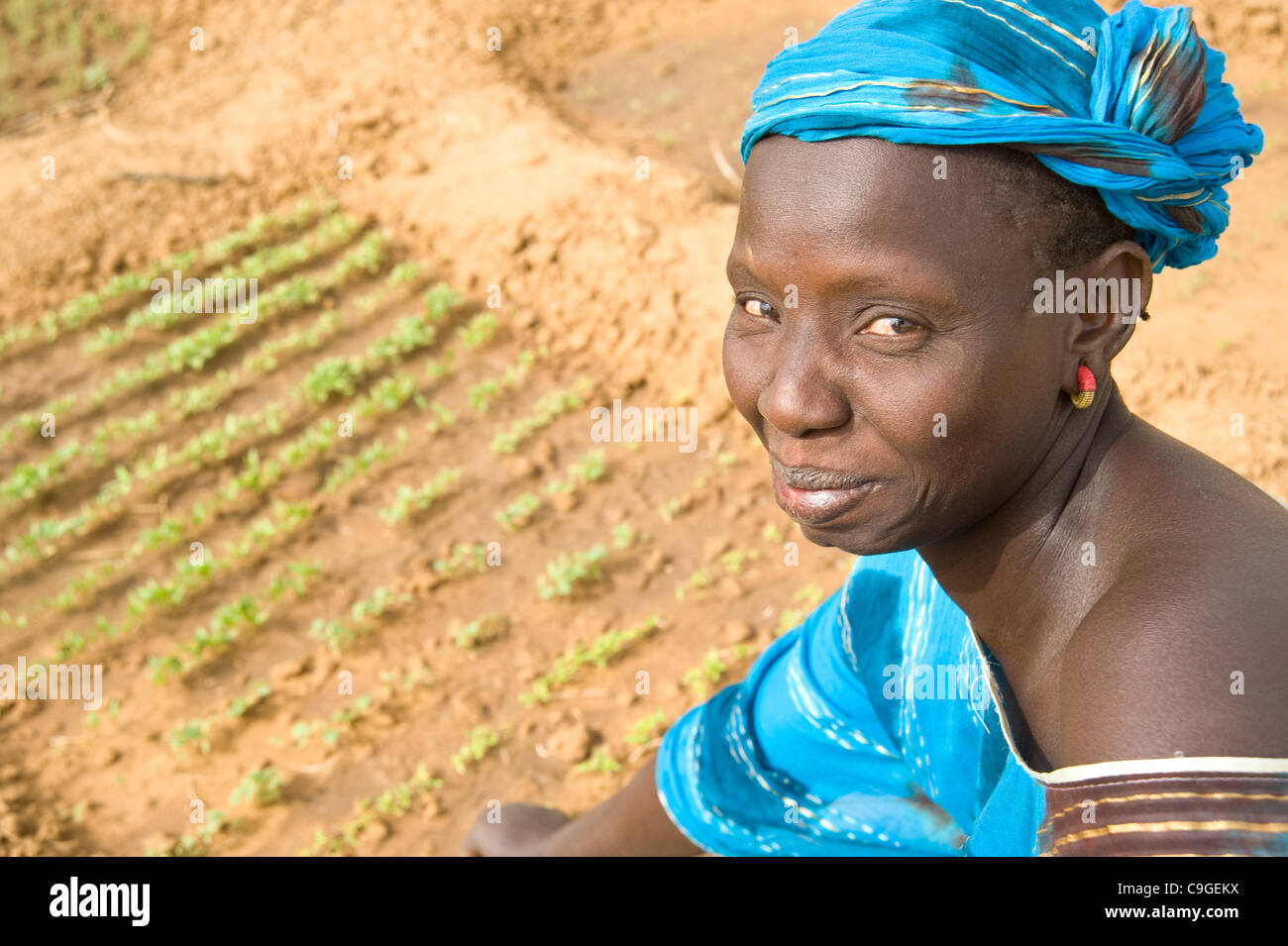 Matam senegal hi-res stock photography and images - Alamy