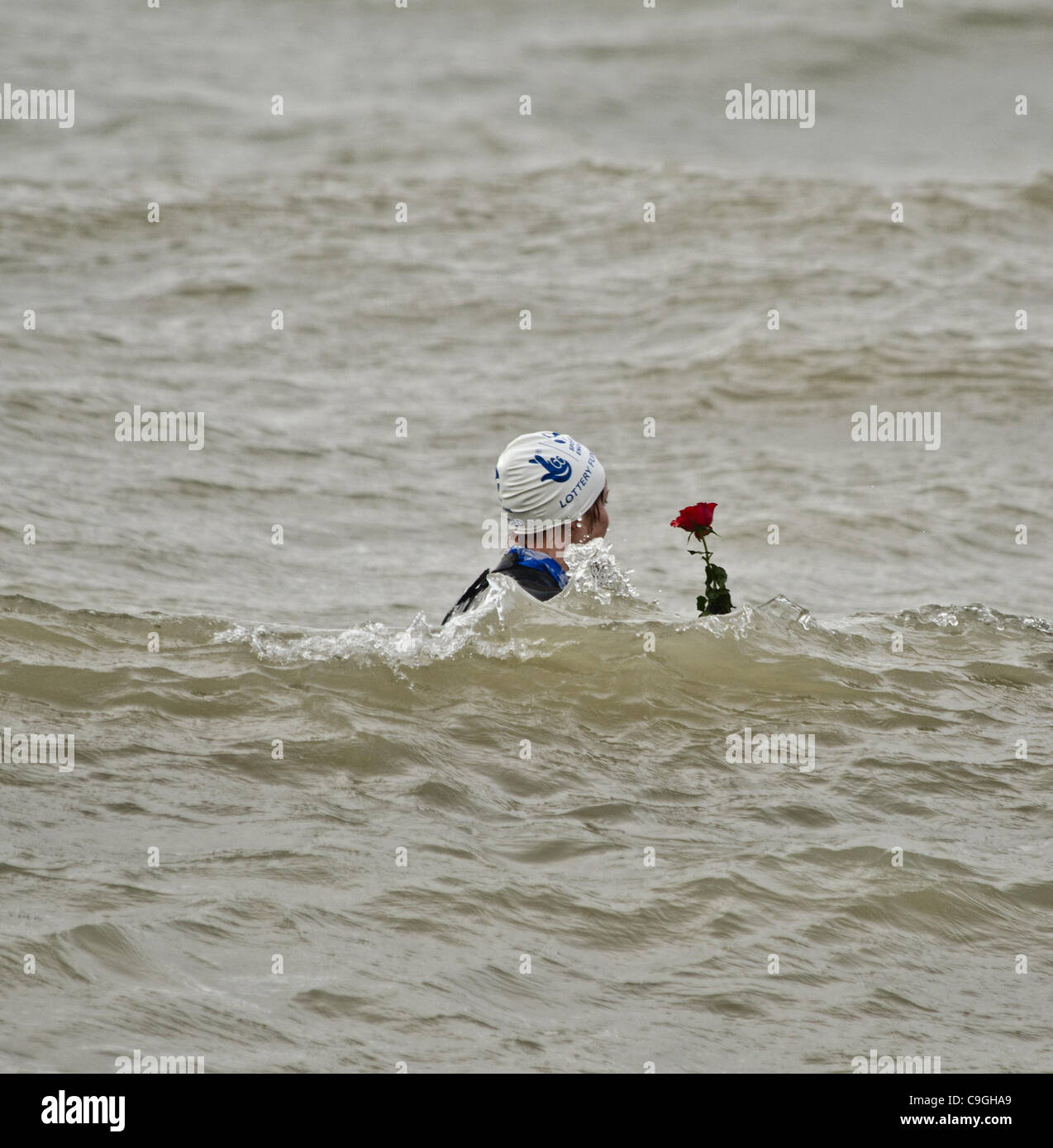 Brighton swimming club hi-res stock photography and images - Alamy