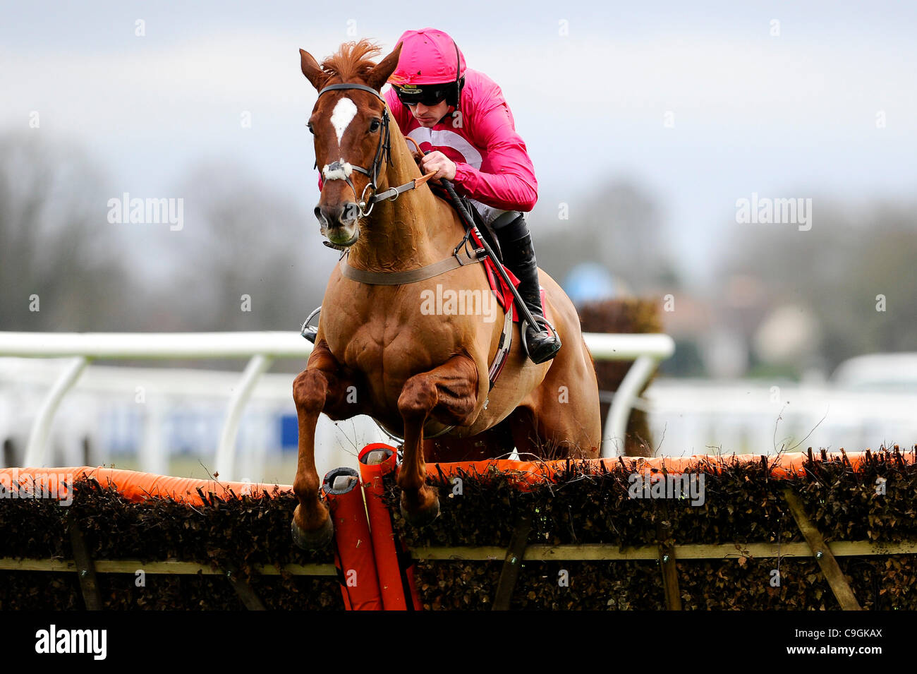Ruby walsh rear hi-res stock photography and images - Alamy