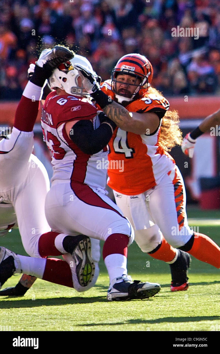 Dec. 24, 2011 - Cincinnati, Ohio, U.S - Arizona Cardinals center Lyle ...