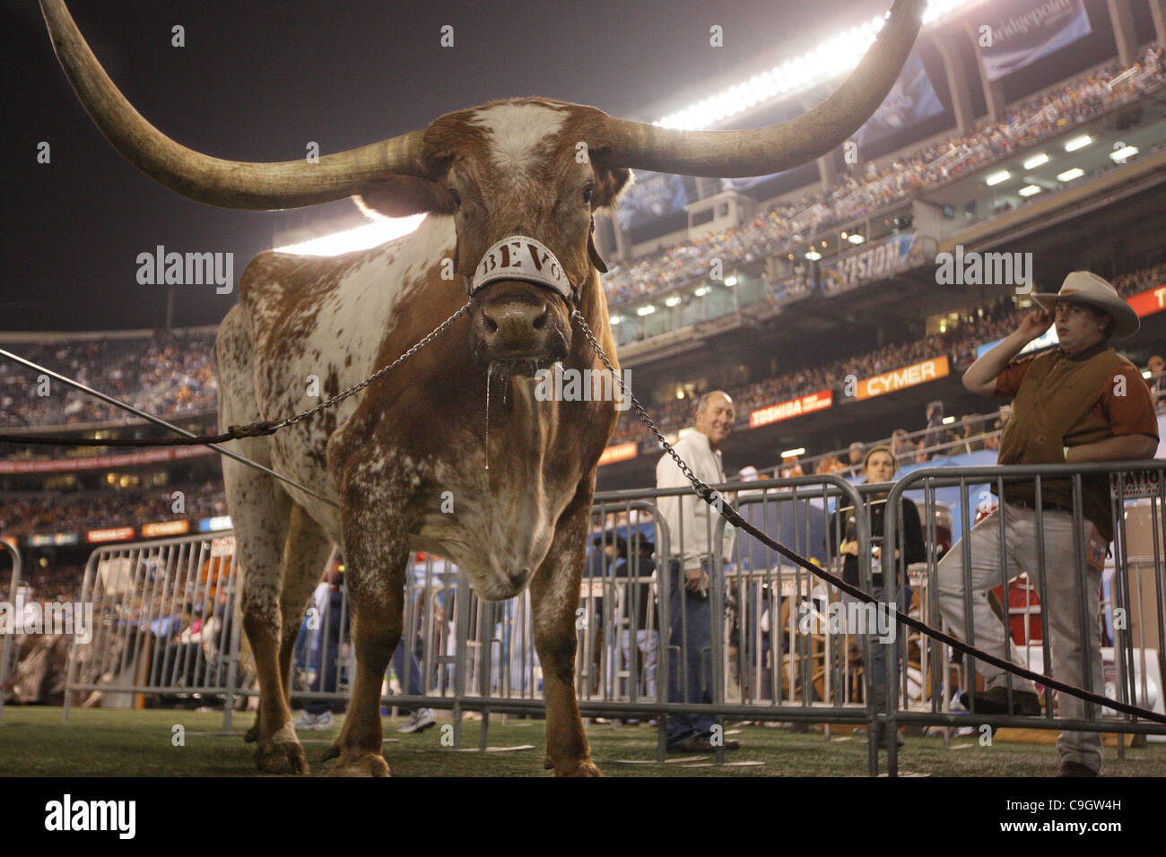 Dec. 29, 2011 - San Diego, California, U.S - Texas Longhorn mascot Bevo ...