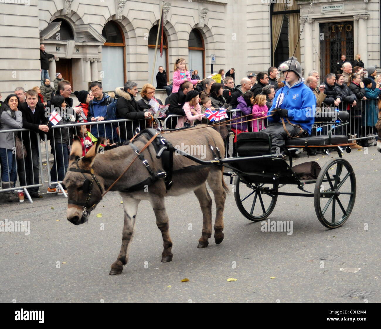 A donkey with the Donkey Breed Society marching during London's New ...