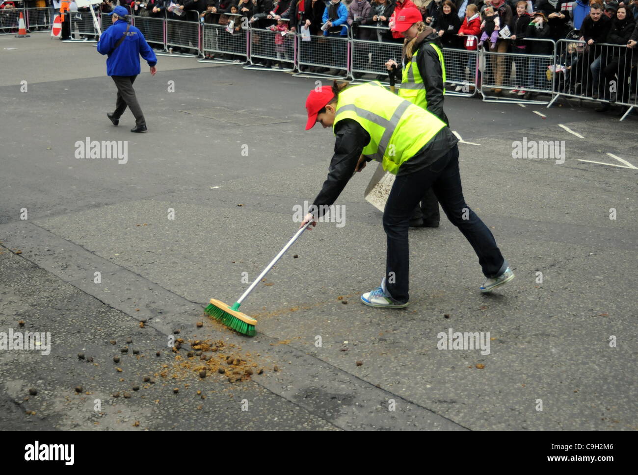 Donkey poo hi-res stock photography and images - Alamy