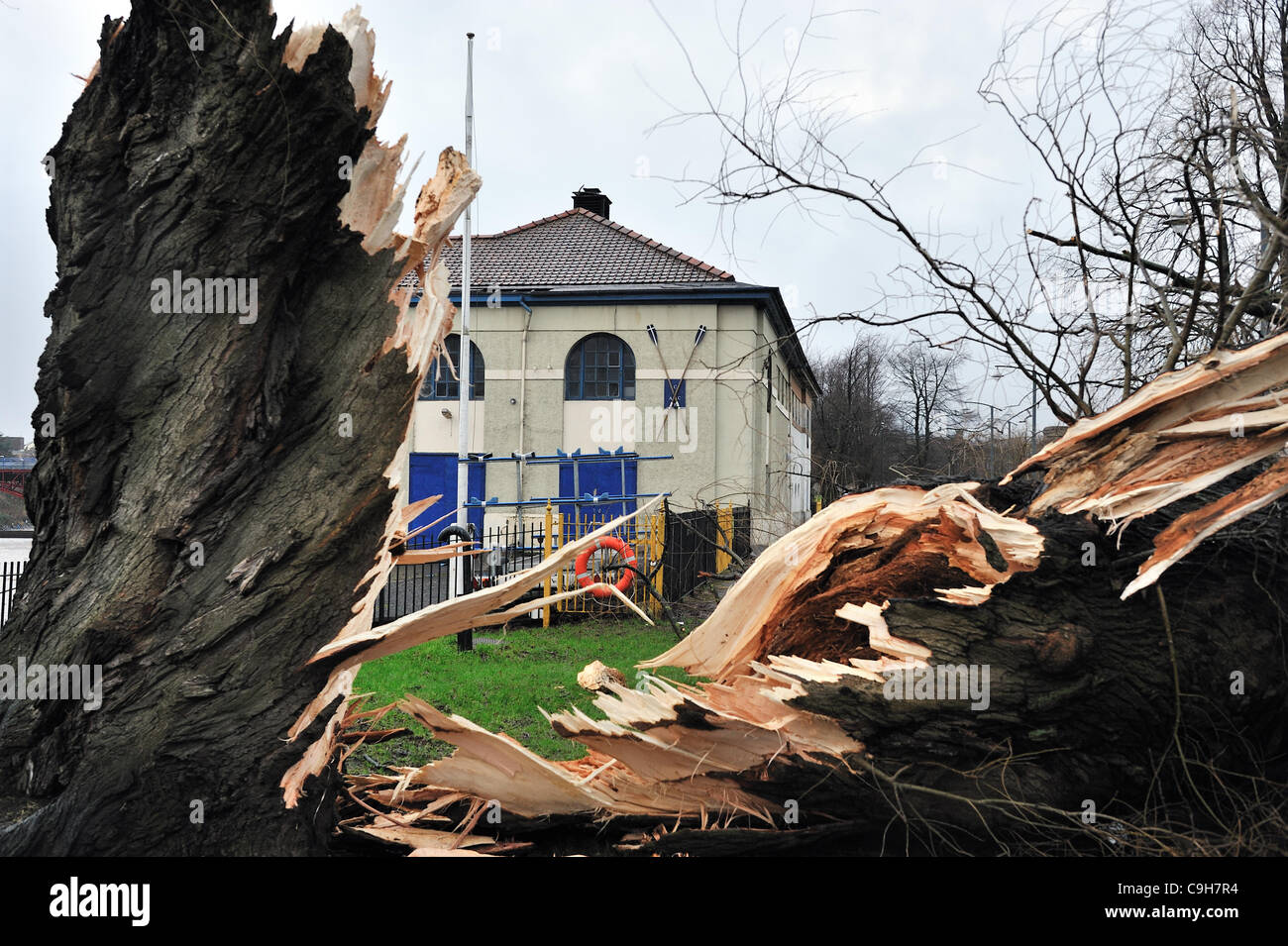 Tree snapped in half hi-res stock photography and images - Alamy