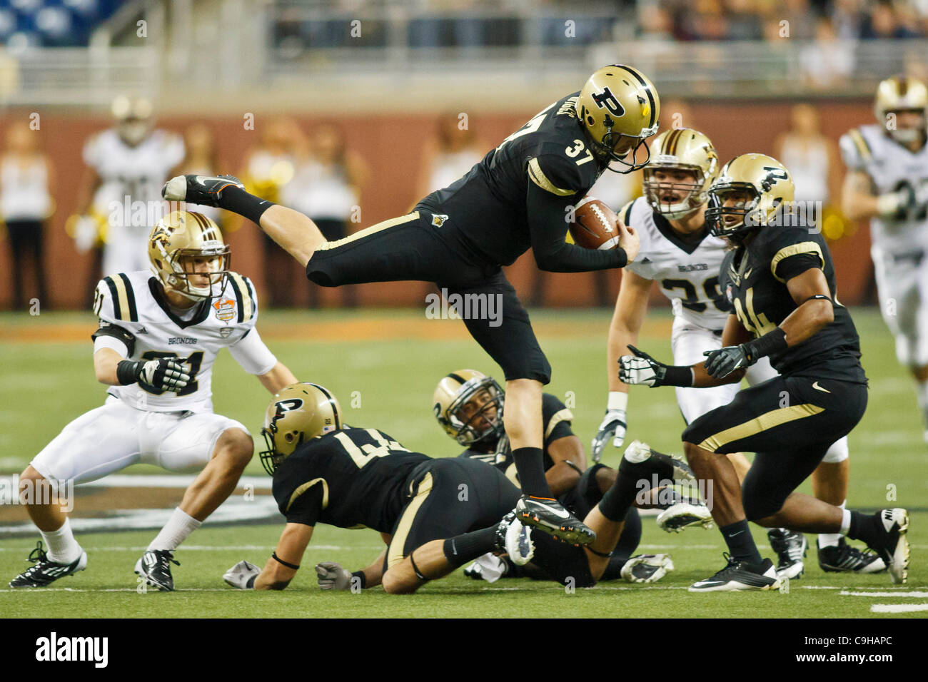 Wiggs hi-res stock photography and images - Alamy