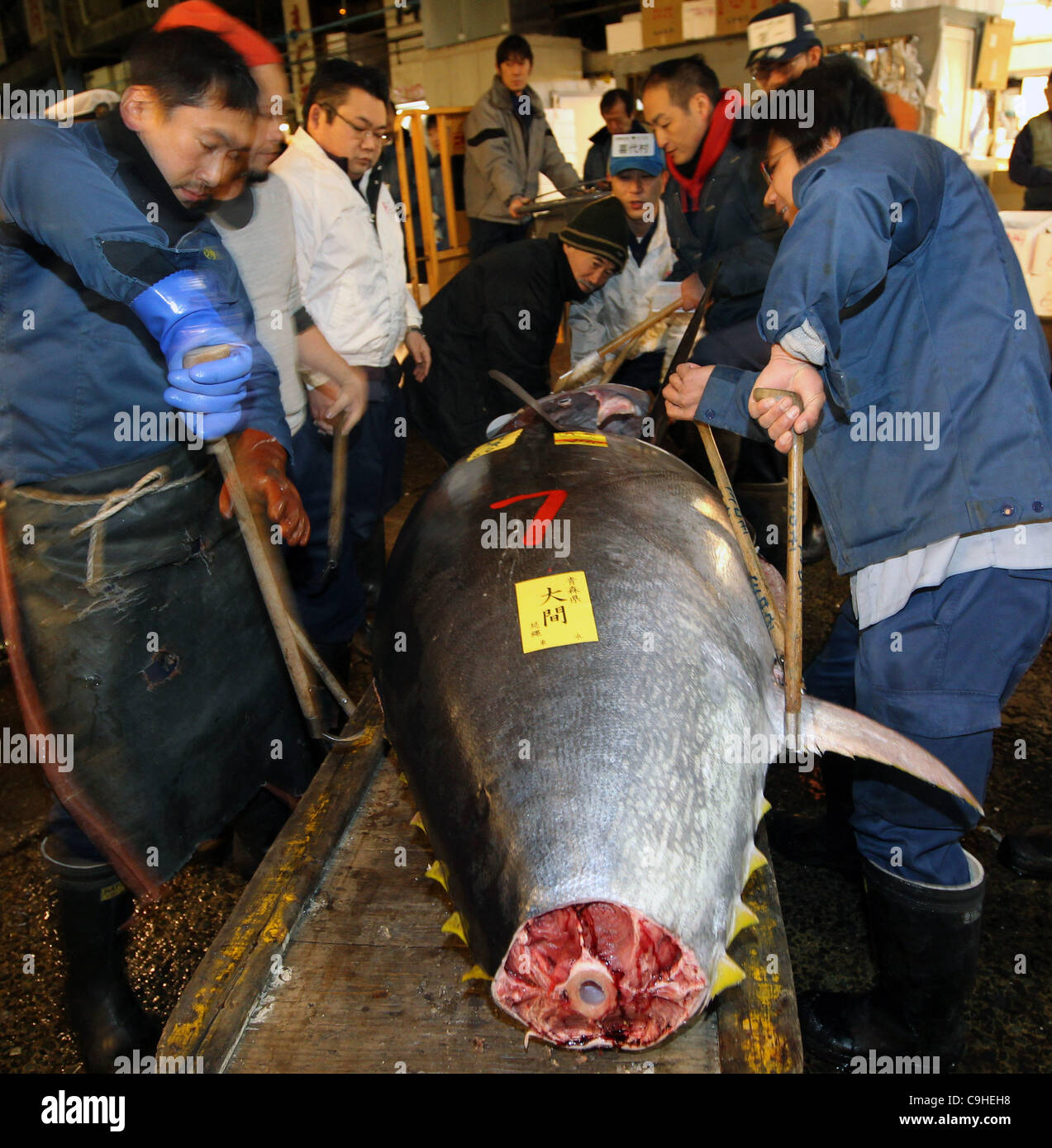 Jan. 5, 2012 - Tokyo, Japan - The 269kg-weighted-bluefin tuna which was ...