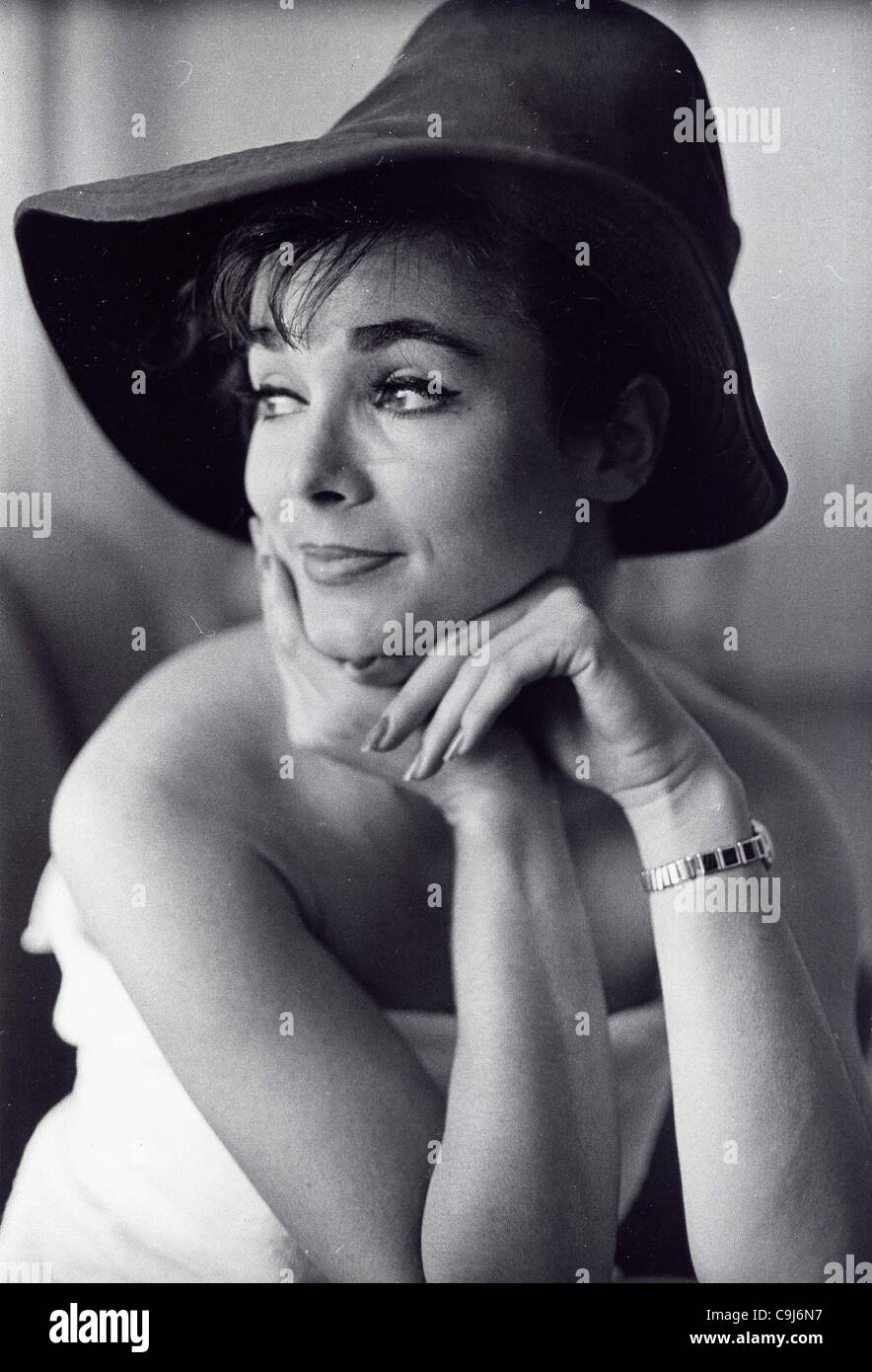 Gila golan hi-res stock photography and images - Alamy