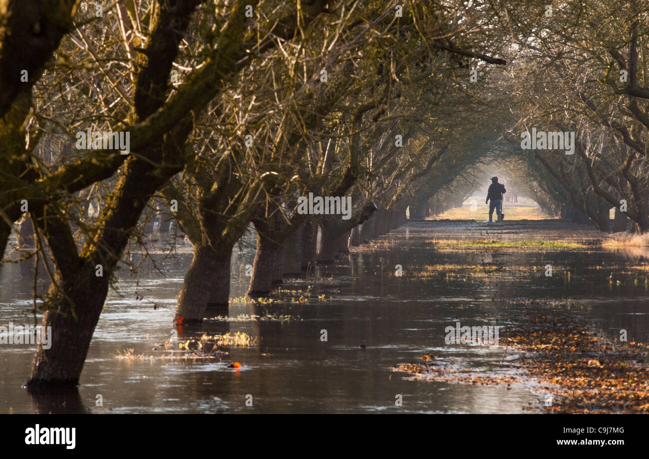 Modesto irrigation district hi-res stock photography and images - Alamy
