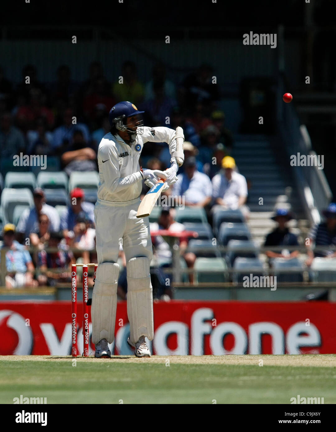 Short leg hi-res stock photography and images - Alamy